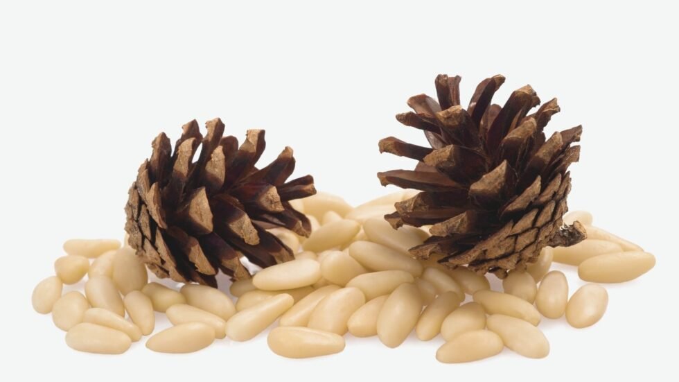 The Best Low-Carb Nuts: A Ranking from Lowest to Highest | Nuts And ...